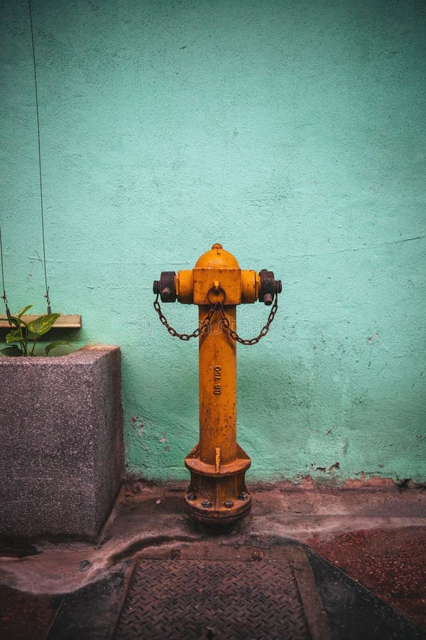 A Fire Hydrant on a Side Walk Near a Green Building Stock Image - Image ...