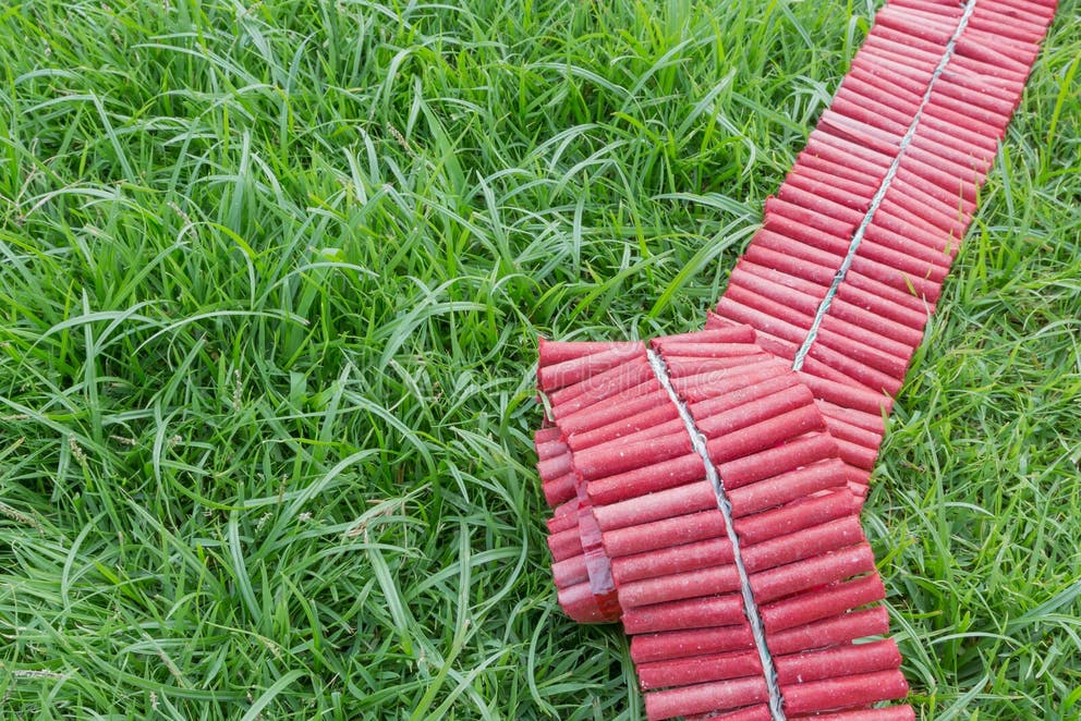 Red Firecrackers on Green Grass Stock Photo - Image of lawn ...