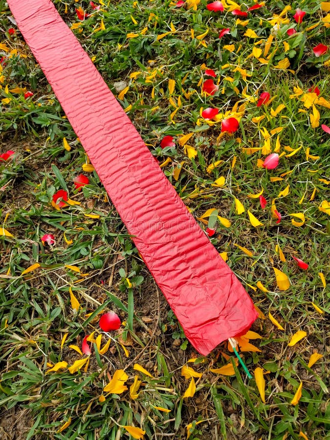 Red Firecrackers on the Lawn Stock Image - Image of cultural, asian ...