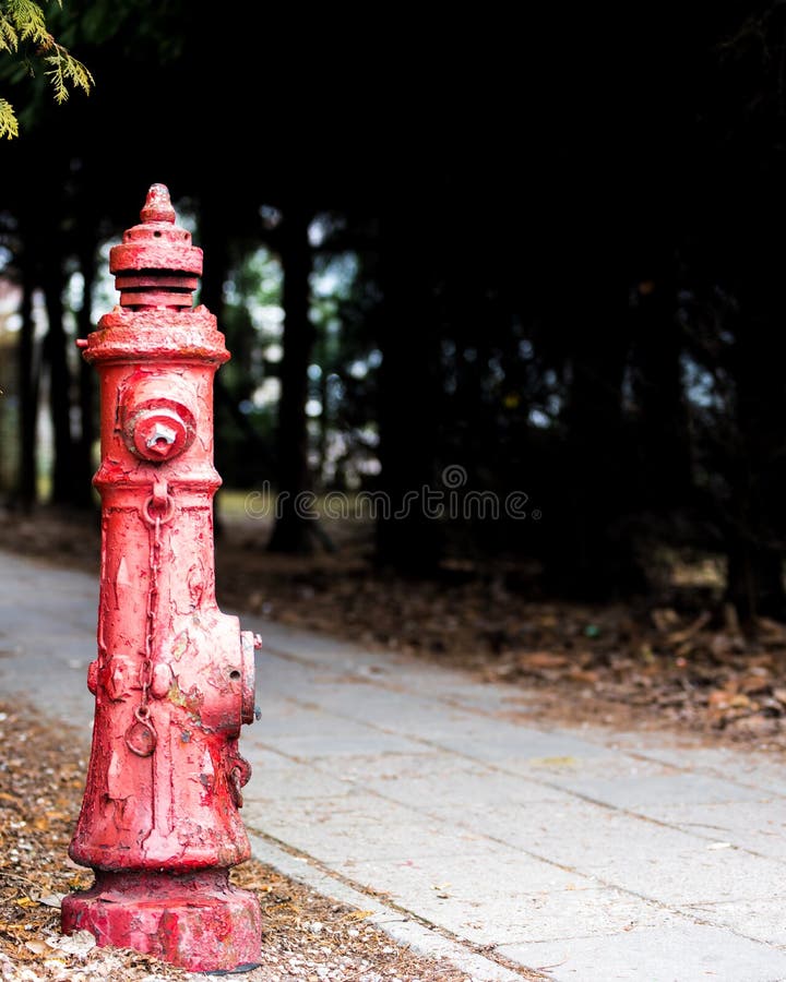 Red Fireplug on the Street - Fire Brigade, Fire Prevention Stock Image ...