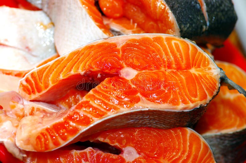 Red fish. stock photo. Image of market, fish, marine - 11914468