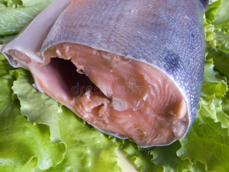 Red fish stock image. Image of marine, healthy, ingredient - 6101689