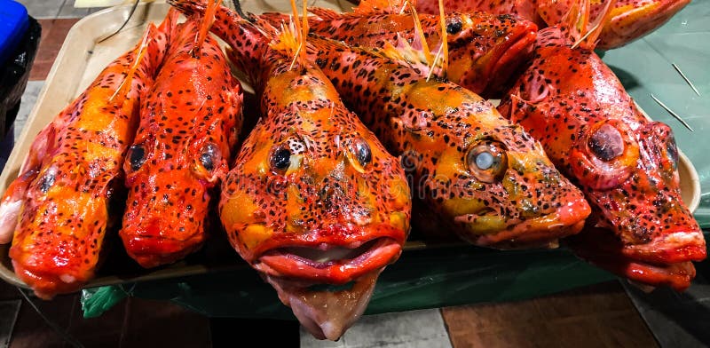 Red Fish with Black Spots on Platter Plate for Food Stock Image - Image ...