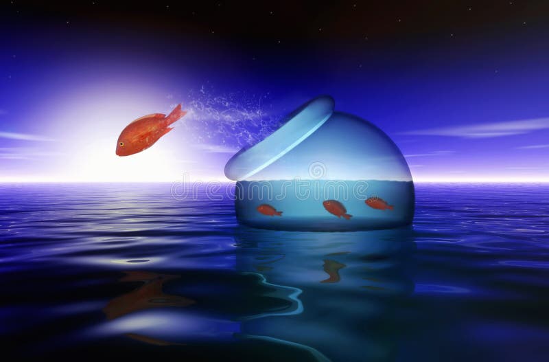 Red fish escape stock illustration. Illustration of jump - 13073266