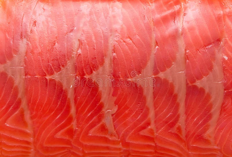 Red fish fillet stock image. Image of freshwater, isolated - 12100237