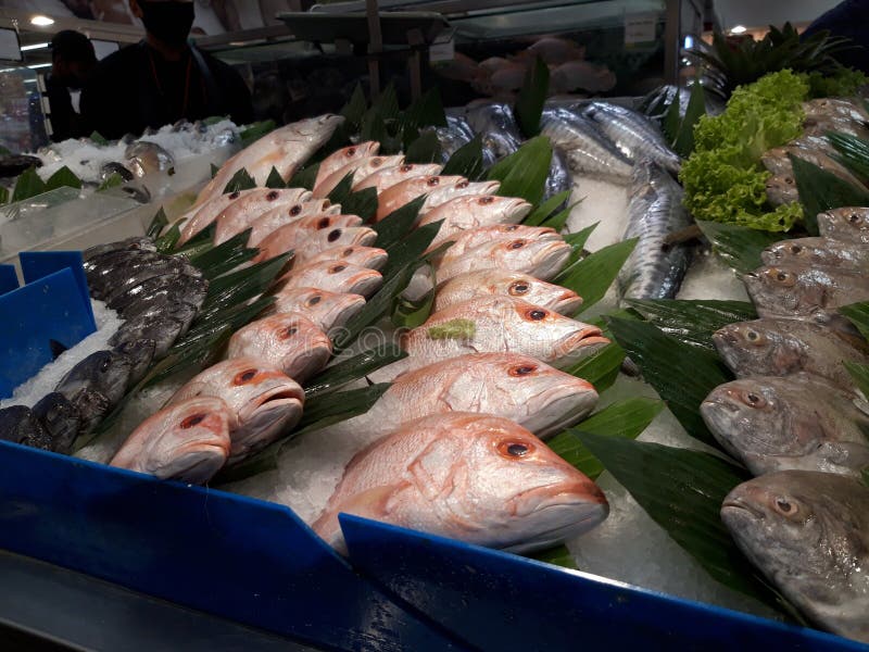 Red Fish in Fresh Supermarket Section Stock Image - Image of meat, meal ...