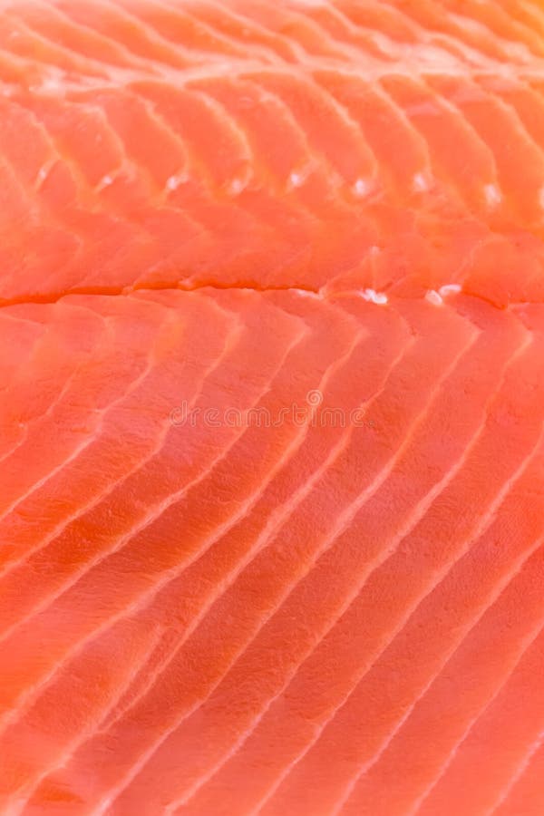 Red fish meat stock image. Image of fillet, nutrition - 51142015