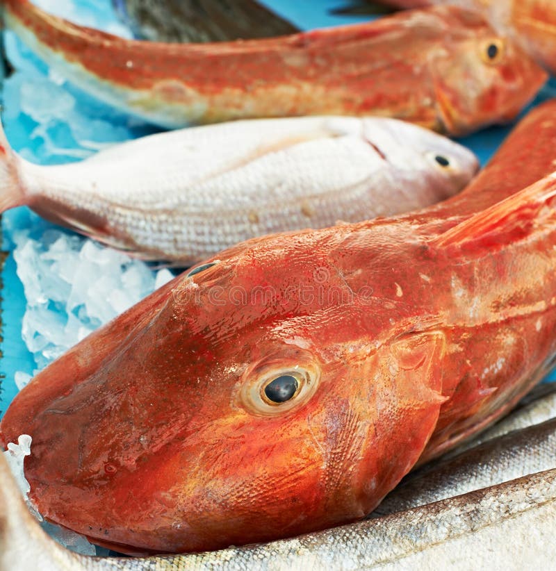 Red fish for sale stock photo. Image of fresh, france - 23414728