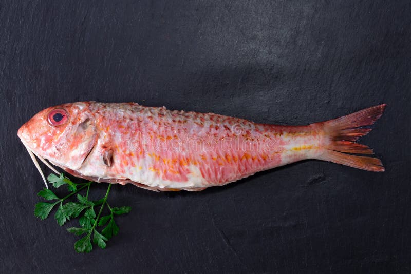Red Fish or Salmon on Slate Stone Stock Image - Image of farmed ...