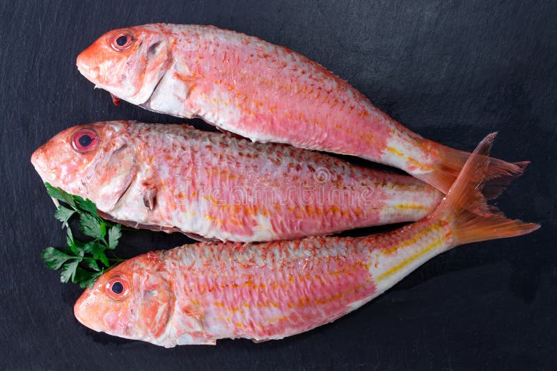 Red Fish or Salmon on Slate Stone Stock Photo - Image of diet, vitamins ...