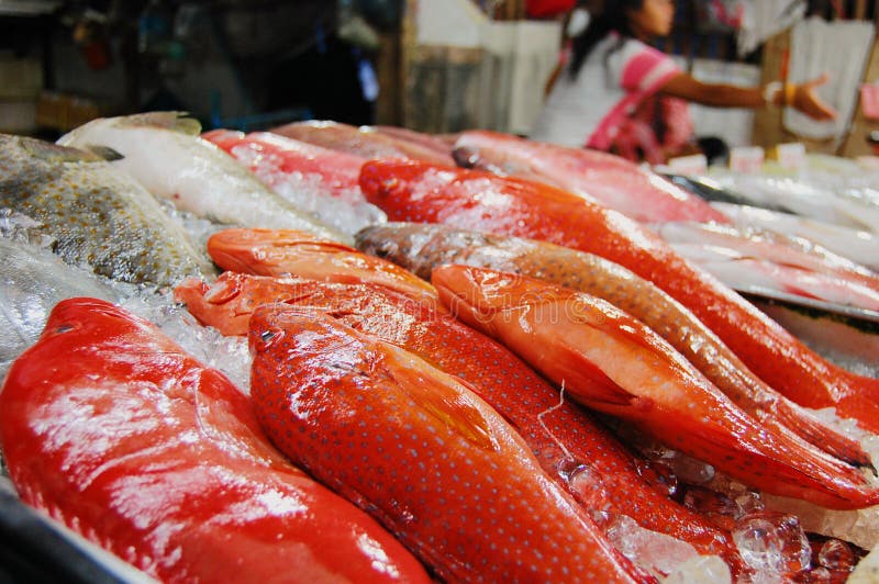 Red Fish on the Seafood Market Stock Image - Image of seafood, market ...