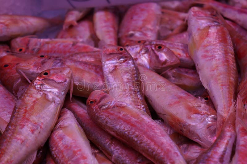 Red fish stock photo. Image of delicious, travelling - 52383210