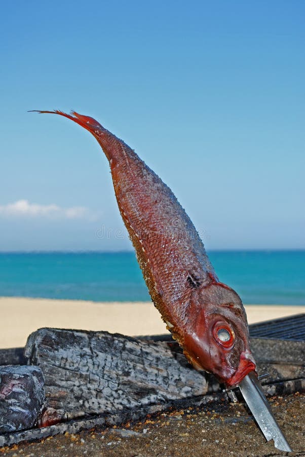 Red Fish Skewered on a BBQ by the Sea. Stock Photo - Image of ...