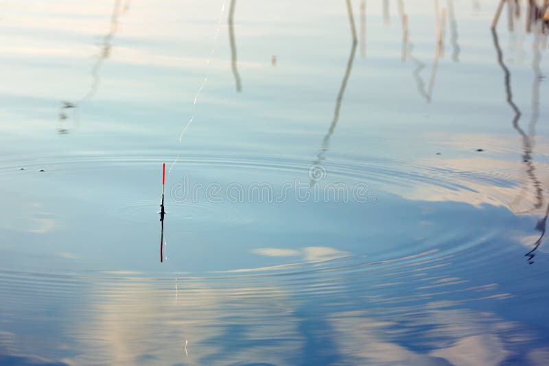 Red Fishing Float in the Water., of the Lake Making Circles in the ...
