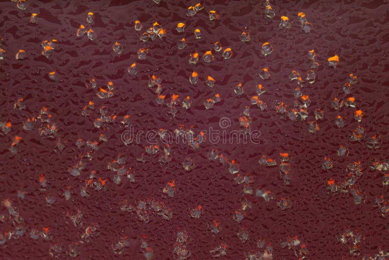 Red Fizzy Drink with Tiny Bubbles and Frozen Glass Texture Stock Photo ...