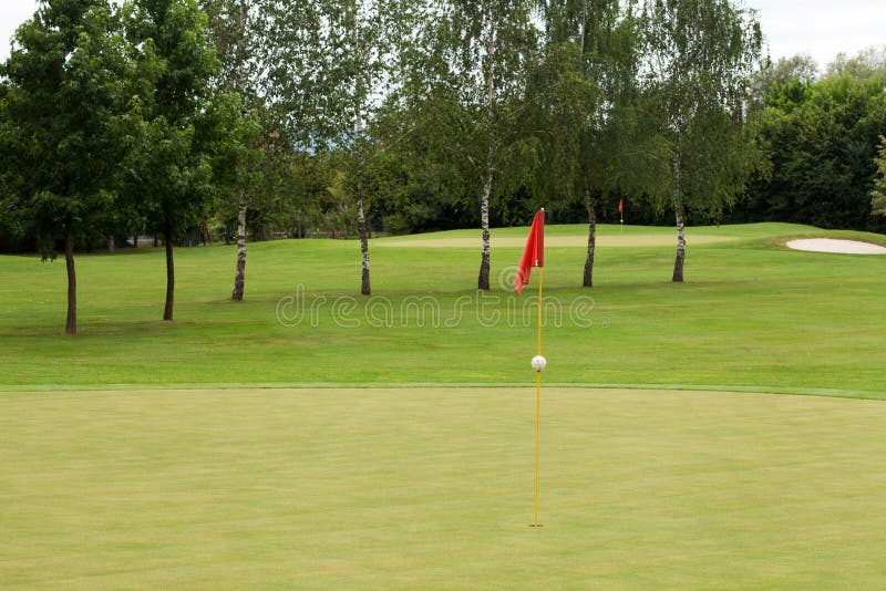Red flag on a golf course stock photo. Image of ball - 56509498