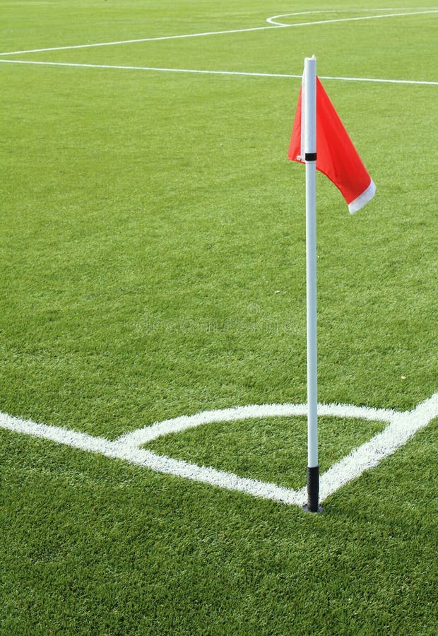 Soccerball stock photo. Image of brazil, goal, goalie, field - 774038