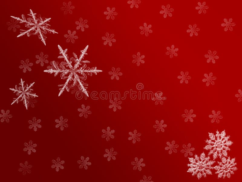 Red flake back stock illustration. Illustration of greeting - 1292431