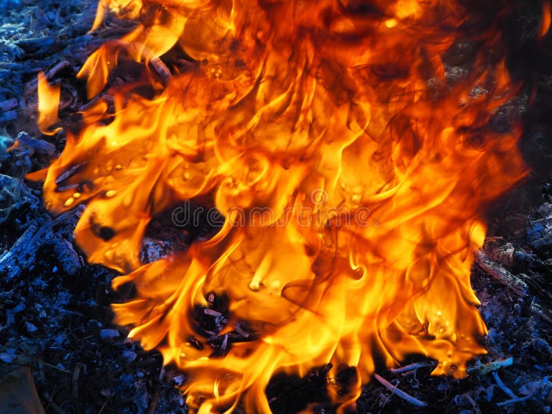 Bonfire stock photo. Image of smoke, black, fire, burn - 106491718