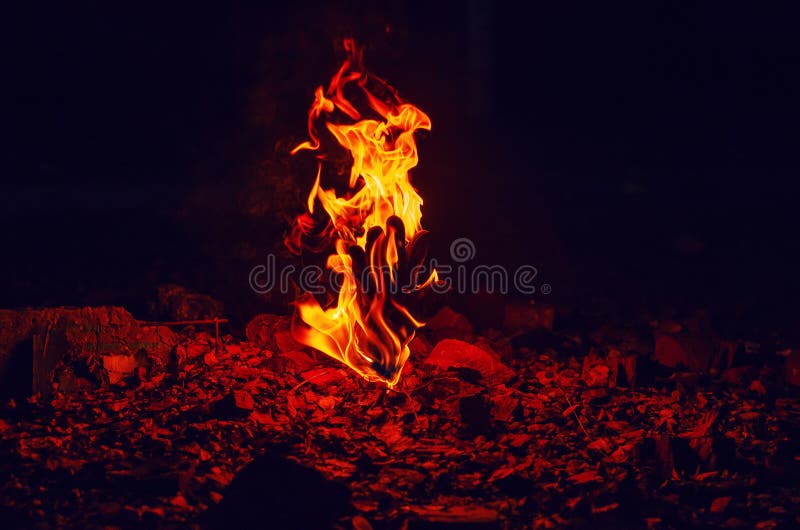 Red Flame of a Burning Fire Rising from a Stone Covered with Autumn ...