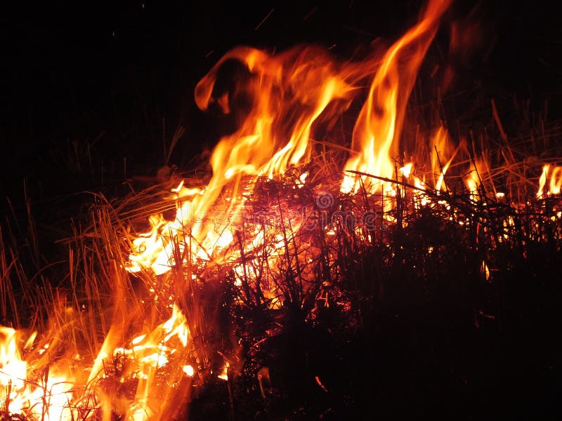 The Red Fire that Flicked on the Floor Black Stock Image - Image of ...