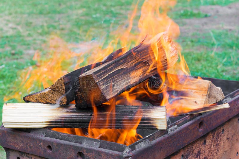 Red Flame from a Cut of a Tree. Firewood Burning in a Brazier. Flames ...