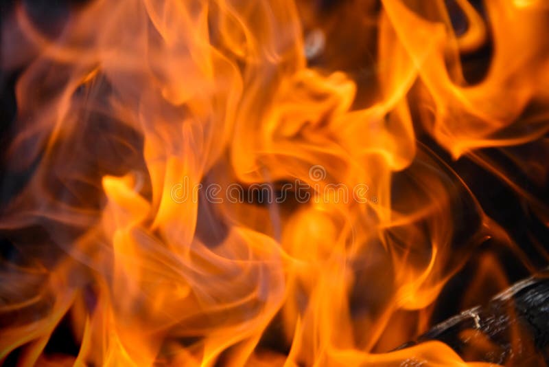 Red Flames of the Fire Flare Up from the Firewood Stock Photo - Image ...
