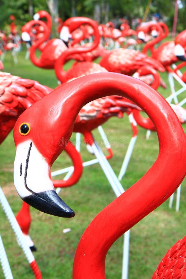 Red flamingos stock photo. Image of sunny, bird, beak - 25783992