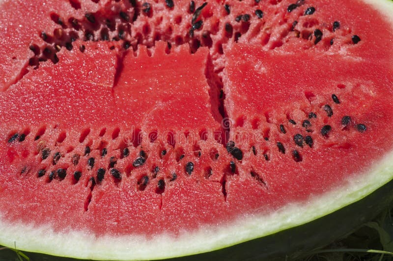 Sliced watermelon inside stock photo. Image of freshness - 169429238