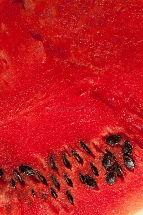 Core of watermelon stock image. Image of organic, efreshing - 32503145