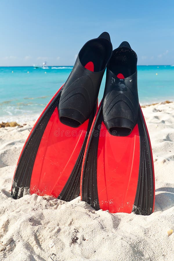 Red Flippers at the Caribbean Sea Stock Photo - Image of caribbean ...