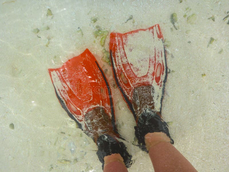 Red Flippers stock photo. Image of landscape, island - 95596936