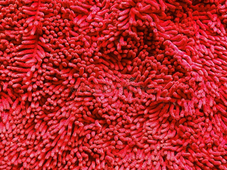 284 Red Carpet Duster Train Stock Photos - Free & Royalty-Free Stock ...