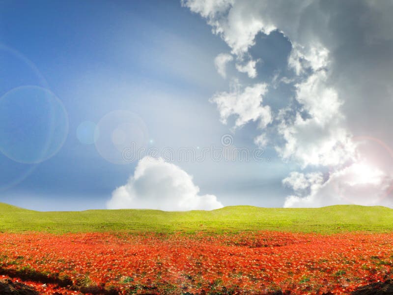 Red Flower Fall in Green Field Sunshine Back Cloud Stock Image - Image ...