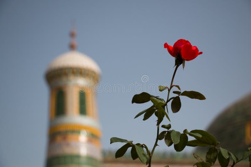 Red Flower in Front of Mosque Tower Stock Image - Image of blue, tower ...