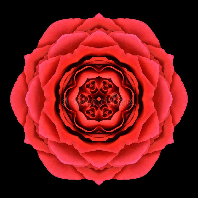 Red Flower Mandala Kaleidoscope Isolated on Black Stock Image - Image ...