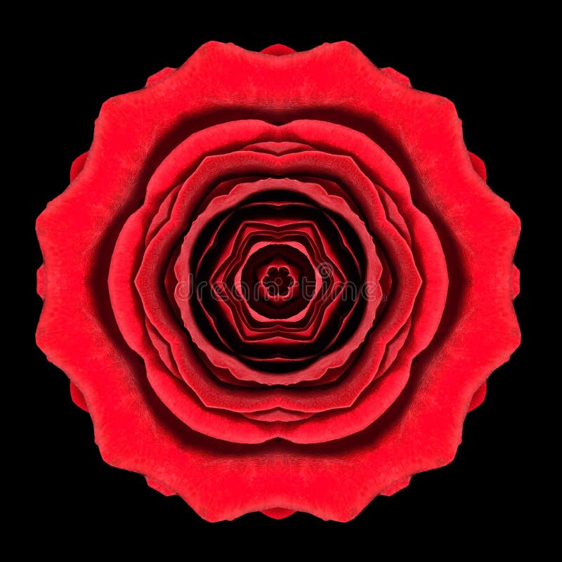 Red Flower Mandala Kaleidoscope Isolated on Black Stock Image - Image ...