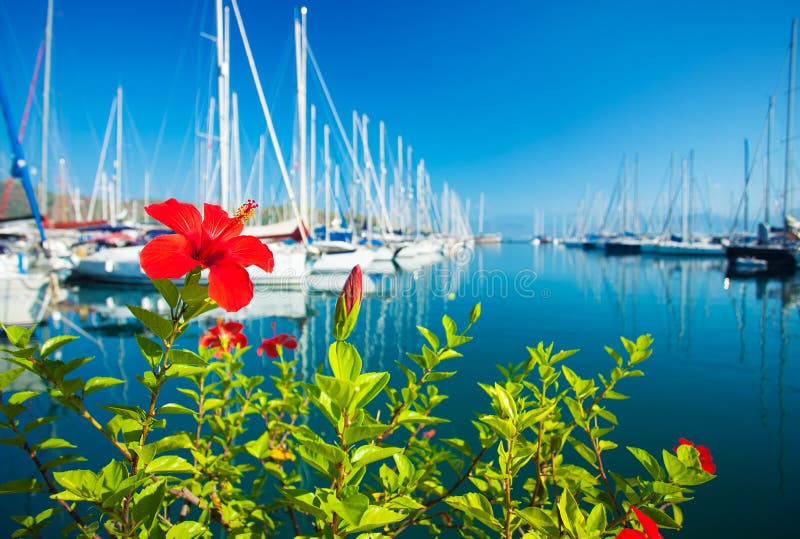 Yacht Port Over Blue Nature Scene Stock Photo - Image of panoramic ...