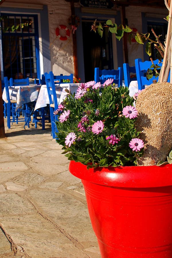 Red Flowerpot in Greek Traditional Tavern Stock Photo - Image of dish ...