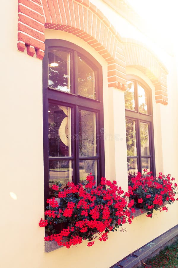 Red Flowers in Boxes on the Windowsill Stock Image - Image of country ...