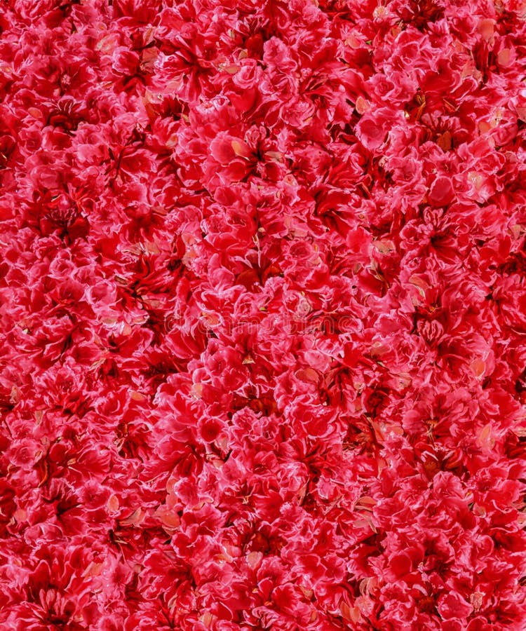 Red Flowers Decorative Wallpaper Background Stock Photo - Image of ...