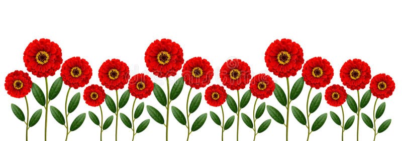 Red flowers line stock image. Image of greeting, plant - 77947517