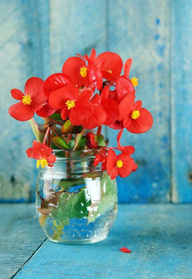 Red Flowers Over Blue Wood Background Vertical Stock Photo - Image of ...