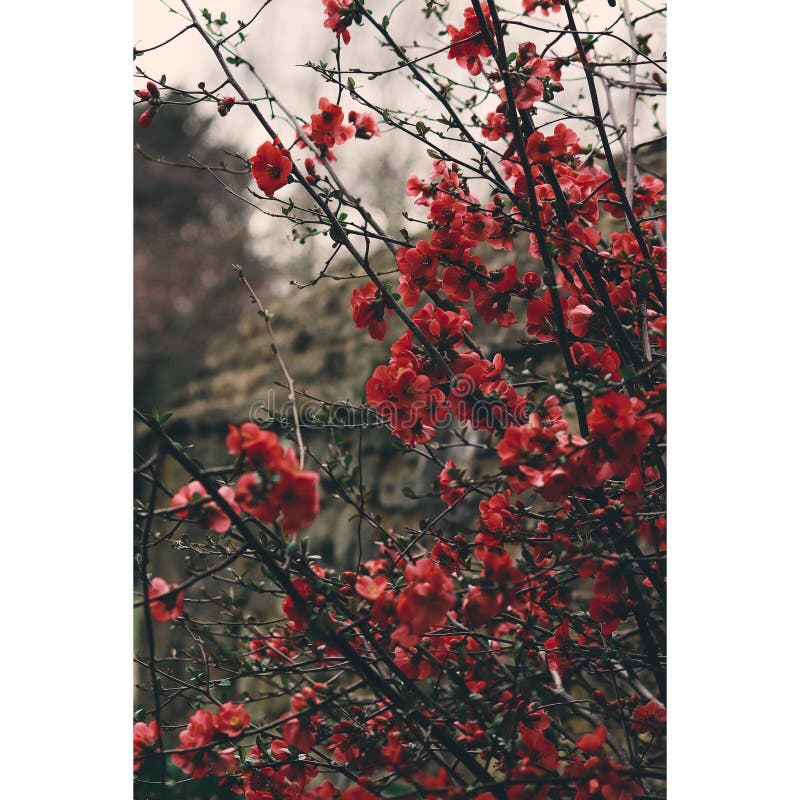 Waring Wring Stock Photos - Free & Royalty-Free Stock Photos from ...