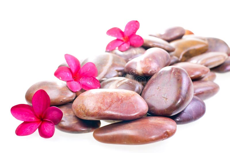 Red Flowers on Red River Stone Stock Photo - Image of fresh, rock: 22454574