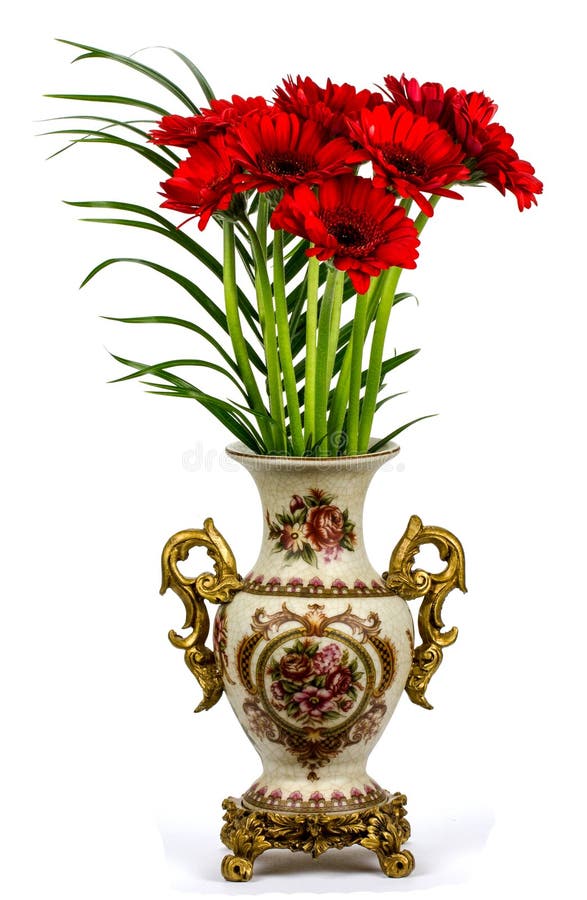 Red Flowers in a Vase on a White Background Stock Photo - Image of ...