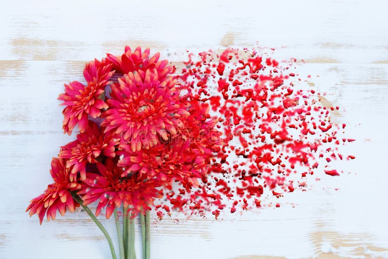 Red Flowers on White Wooden Background with Liquify Effect Stock Image ...