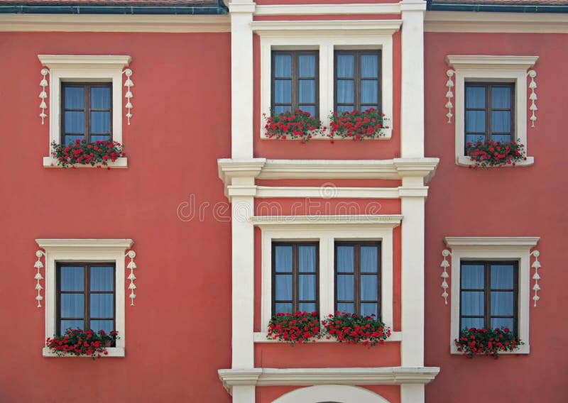 Windows with flowers stock photo. Image of flowers, ocher - 1580600