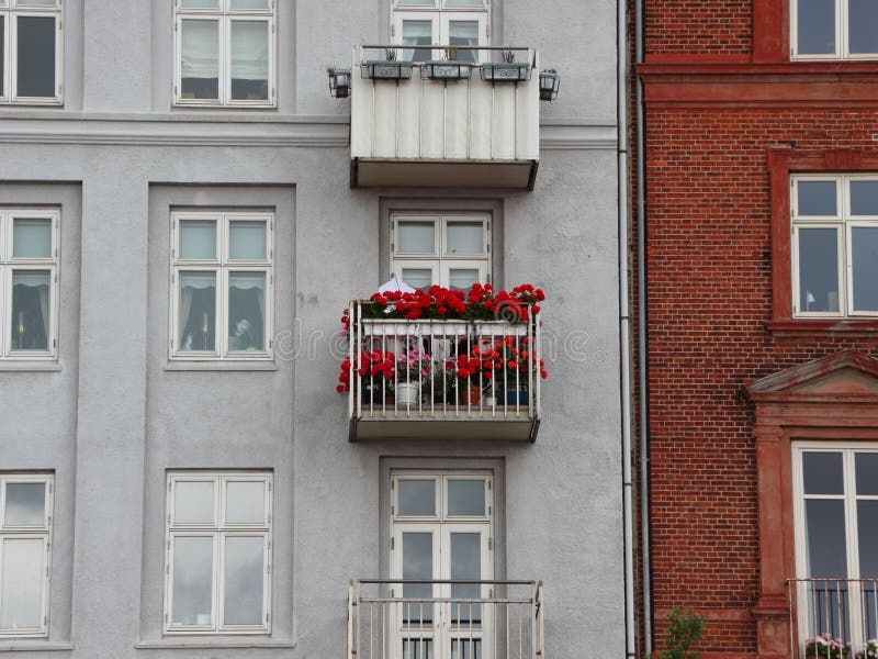 Red Flowers in Window Box at Balcony on Facade Stock Photo - Image of ...
