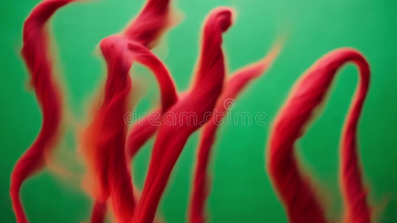 Red Fluffy Strings Waving and Dancing on Green Screen Stock Video ...